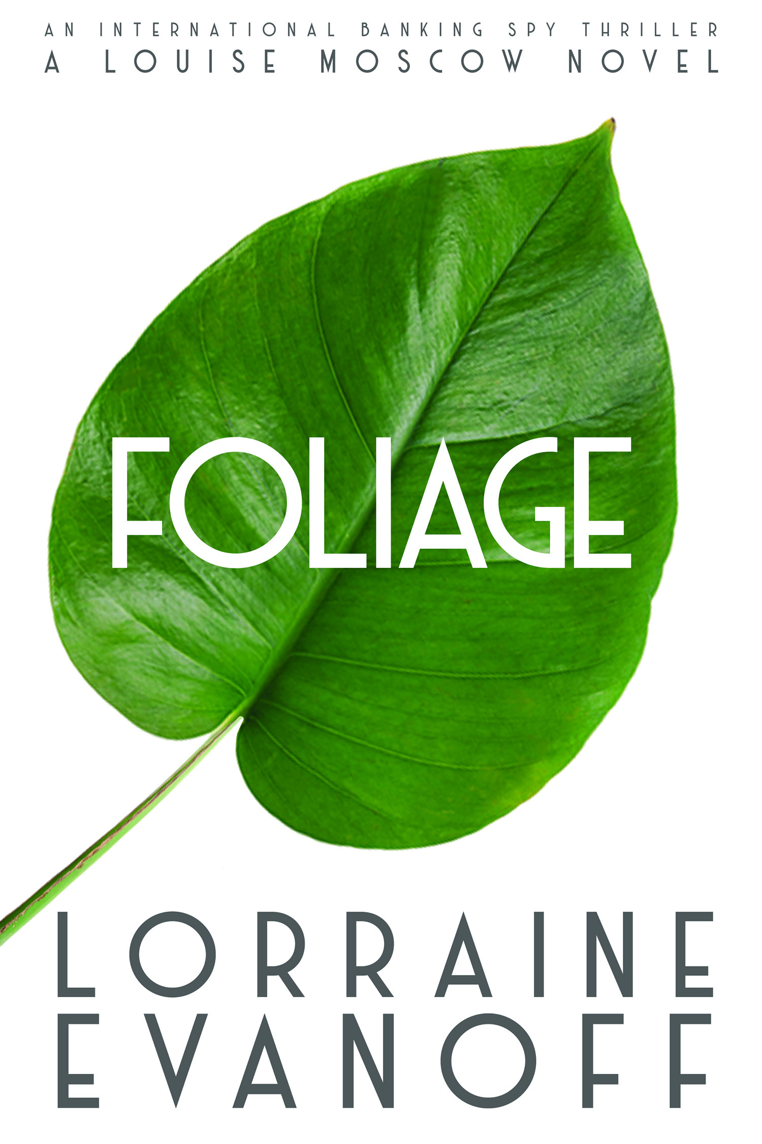 Lorraine Evanoff | Award Winning Author